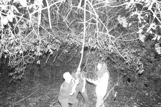 Romasa: New Orleans-Based Sludge/Crust/Death Trio Featuring Members Of ...