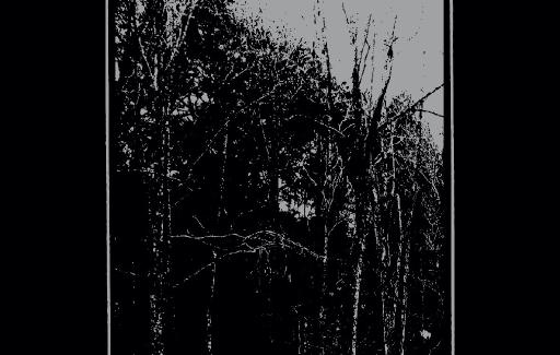 Elusive Canadian Noisegrind/Powerviolence Suicide Commando Issue ...